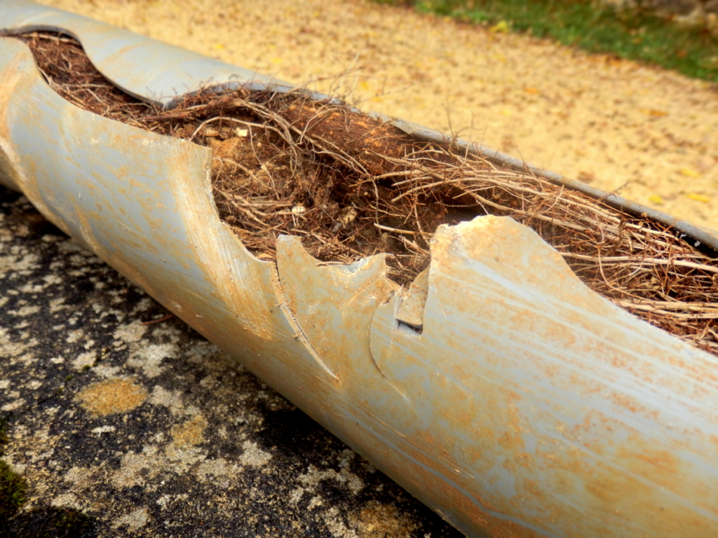 Sewer Line Belly: Causes, Fixes, and Tips | Apollo Plumbing