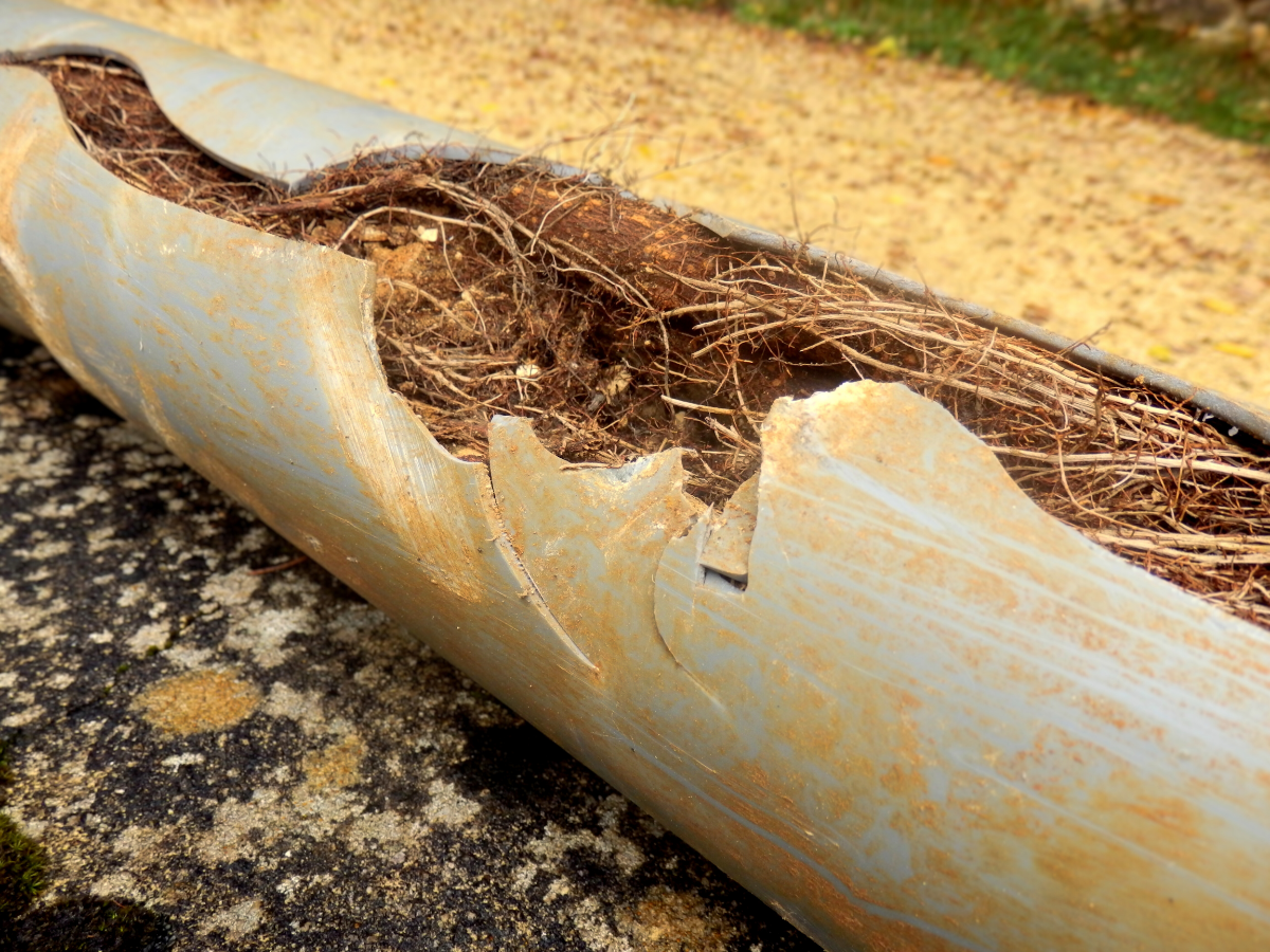 Sewer Line Belly: Causes, Fixes, and Tips | Apollo Plumbing
