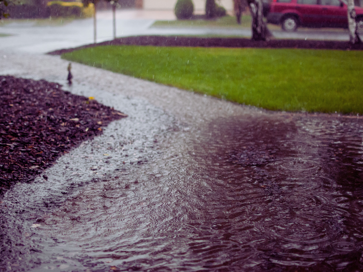 5 Plumbing Problems Caused by Heavy Rain | Apollo Plumbing