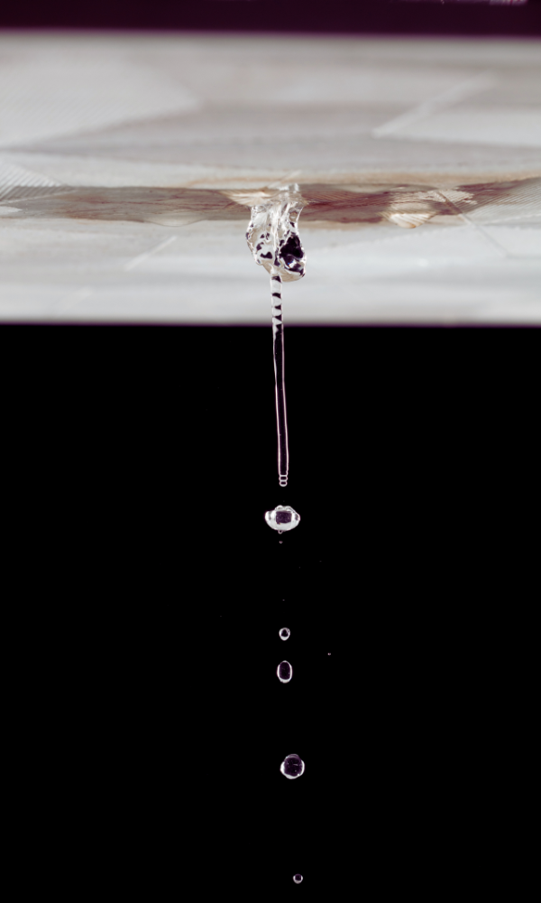 8 Reasons Why Water Is Dripping From Your Ceiling